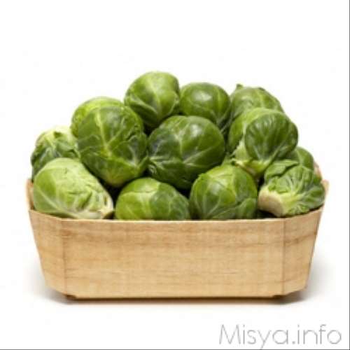 Come cucinare i cavolini di Bruxelles - Misya.info