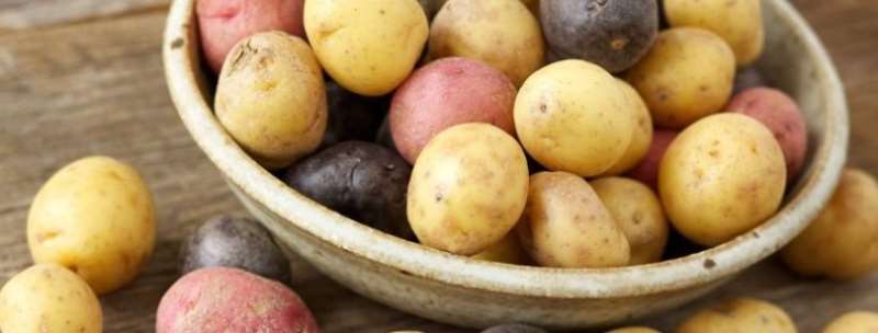 Come scegliere le patate in base alla preparazione - Misya.info