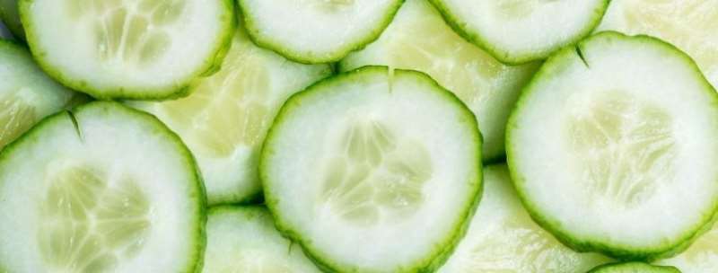 Come cucinare i cetrioli - Misya.info